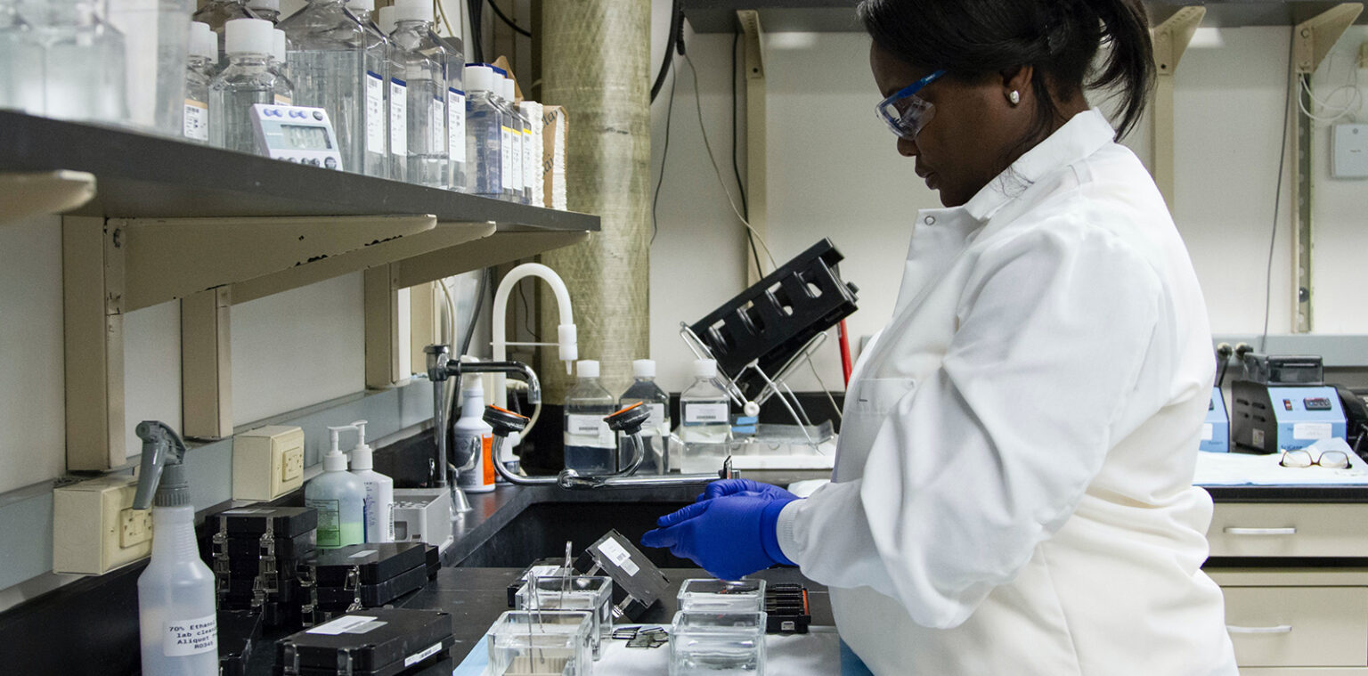 Laurel College of Technology | Laurel Institutes